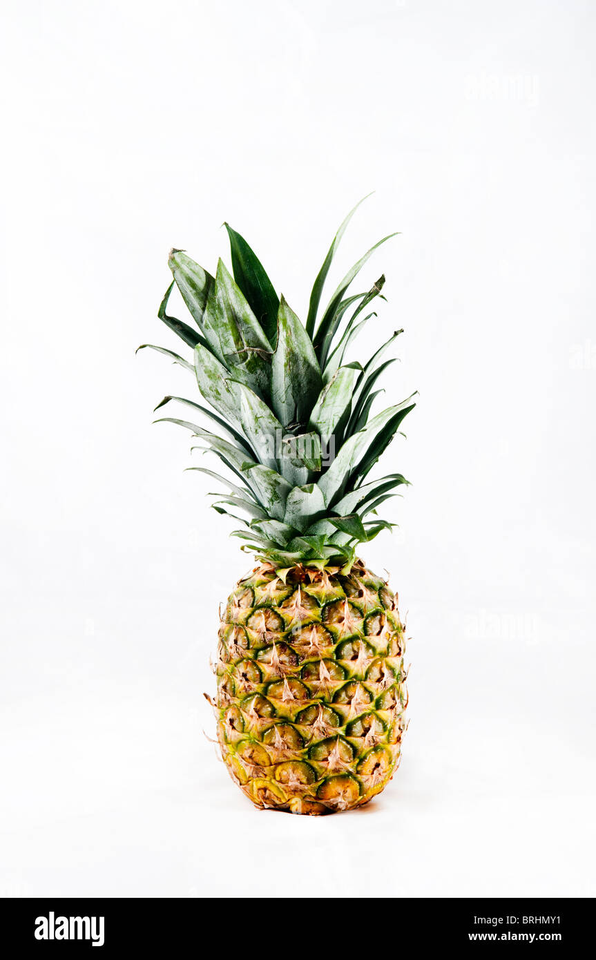 A single pineapple isolated on white Stock Photo - Alamy