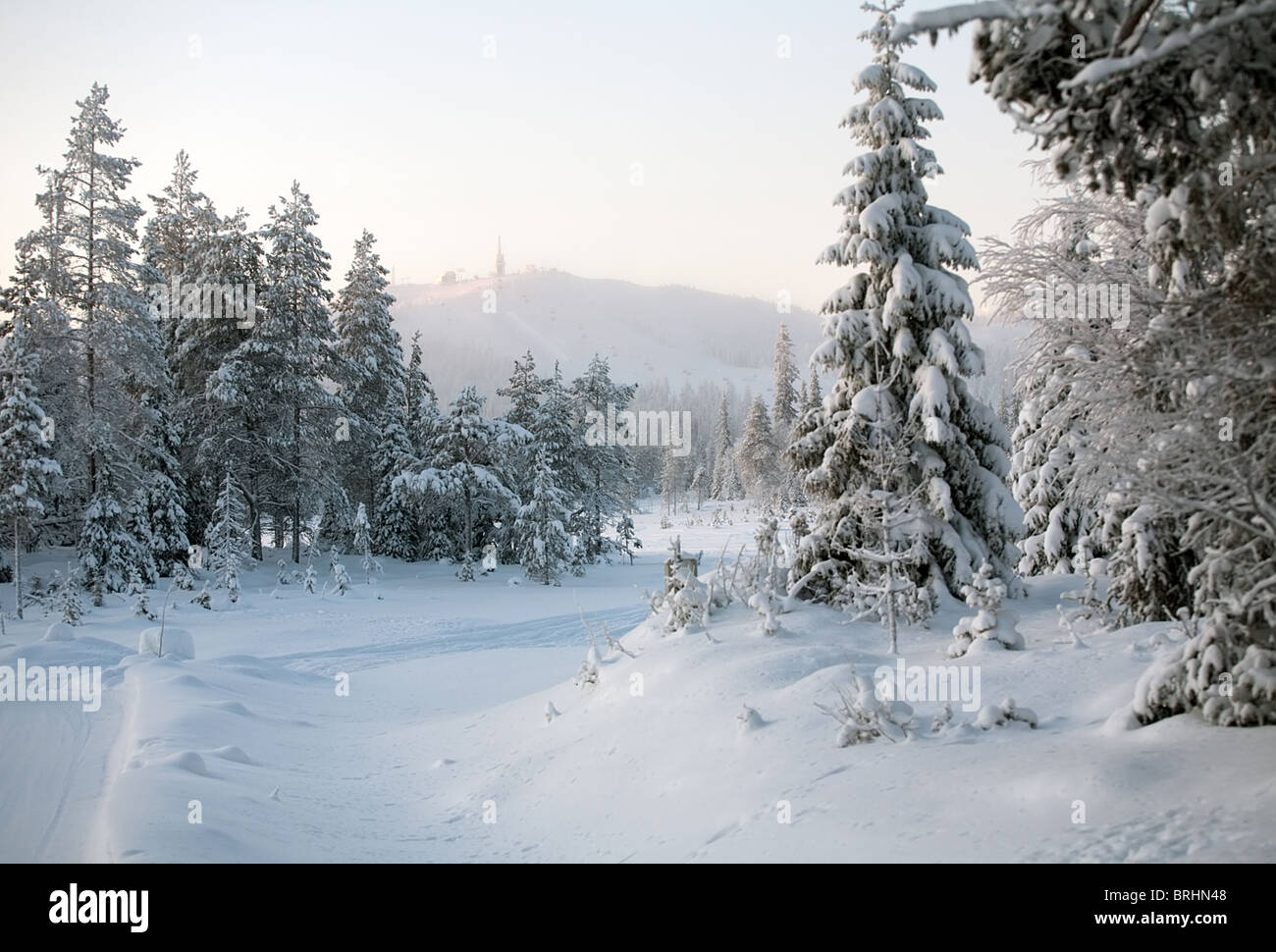 winter forest resort landscape, Ruka, Finland Stock Photo - Alamy