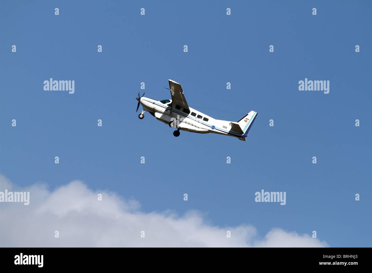 Ysterplaat hi-res stock photography and images - Alamy