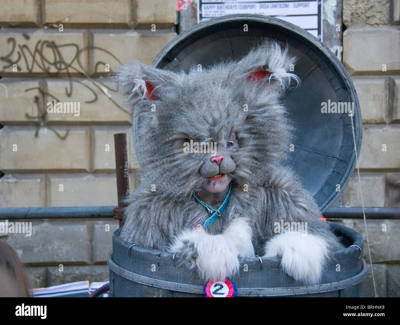 Street artist performs disguised as cat, Bristol Do, Bristol, UK Stock ...