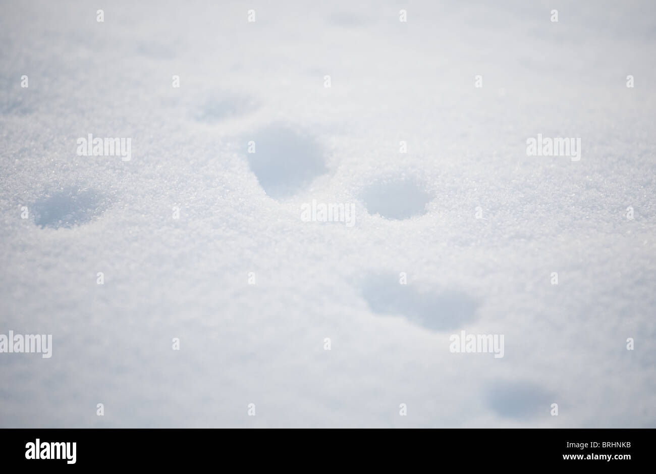 texture of soft snow with traces closeup Stock Photo - Alamy