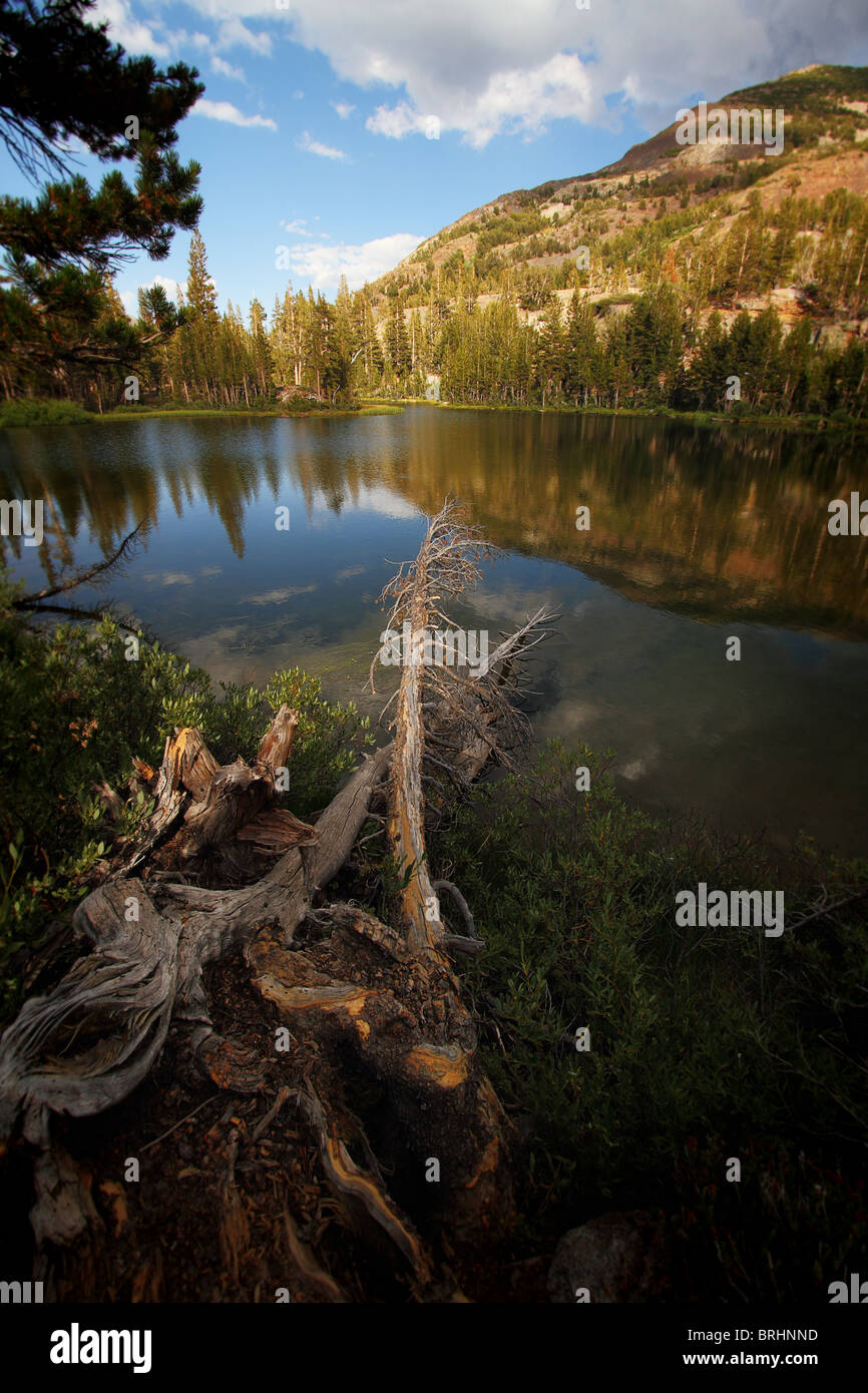 Beautiful mountain lake shoreline with clouds Stock Photo - Alamy