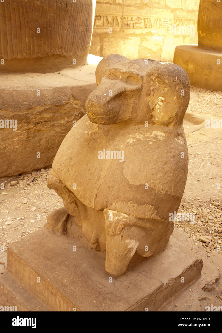 statue of monkey in Karnak Temple, Luxor, Egypt Stock Photo - Alamy