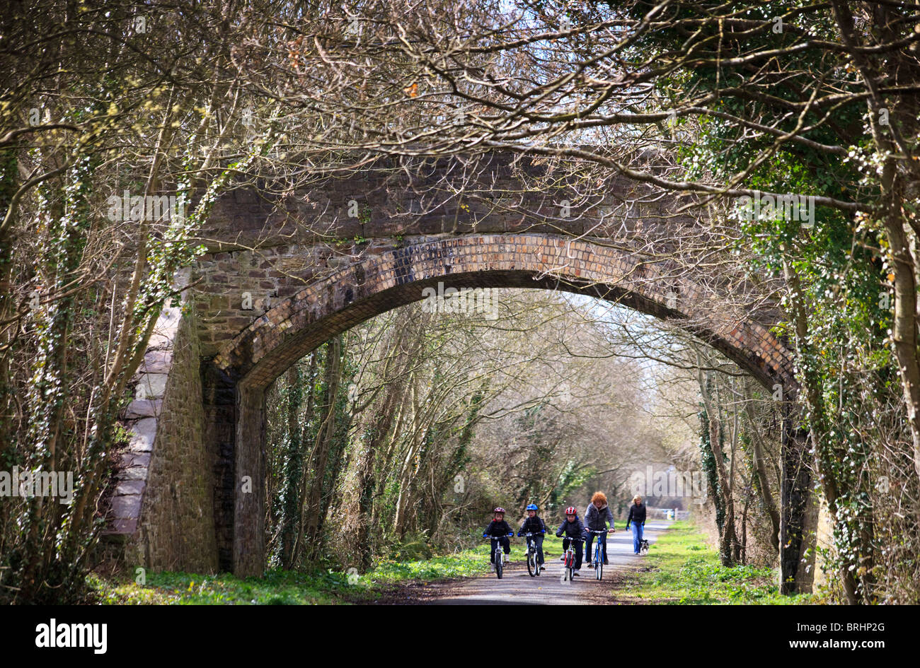 Cyclists on the Tarka Trail National Cycle Route 27 at Braunton, North ...