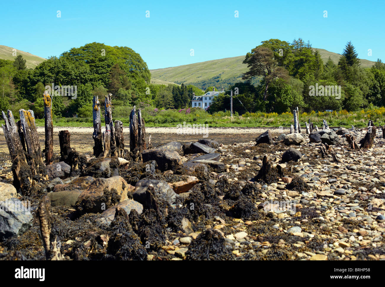 Timber house scotland High Resolution Stock Photography and Images - Alamy