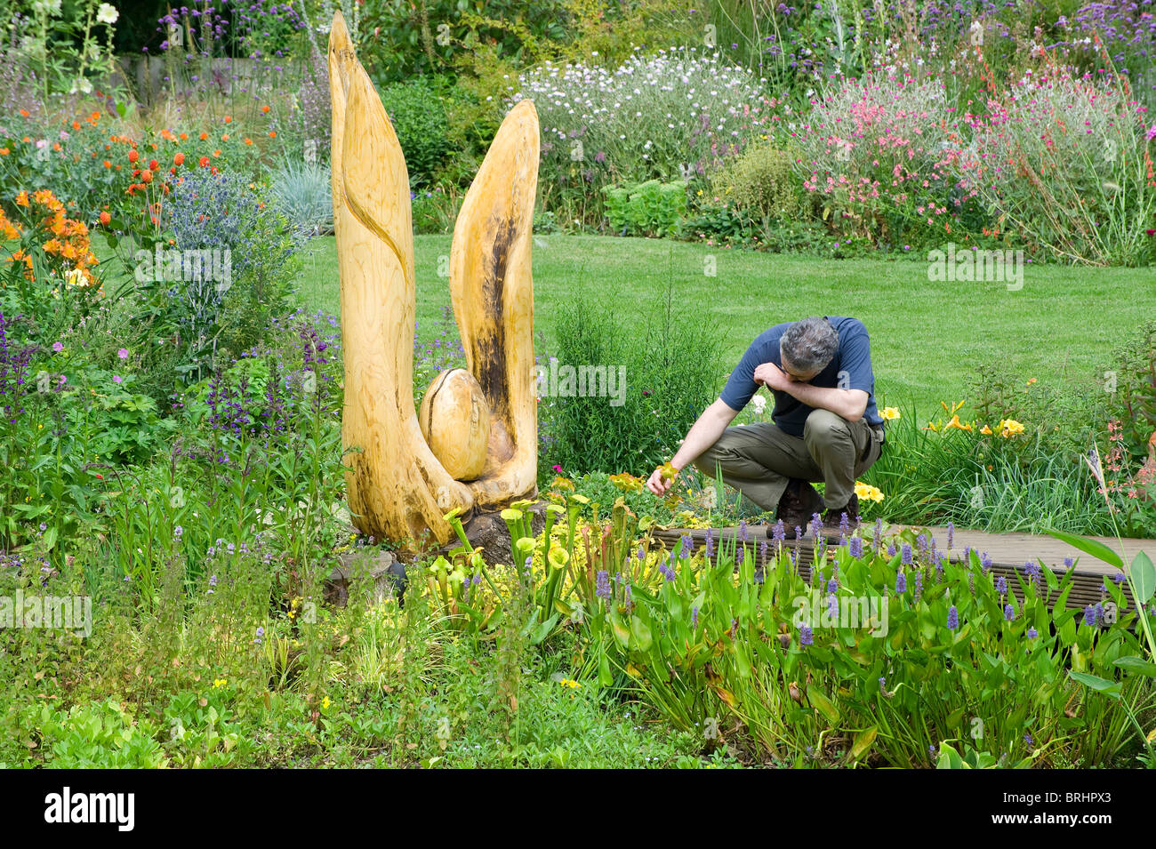 gardener inspecting garden plants, norfolk, england Stock Photo - Alamy