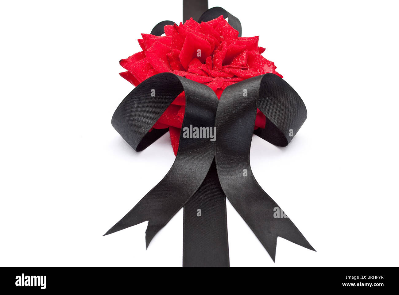 Red rose with black ribbon Stock Photo - Alamy
