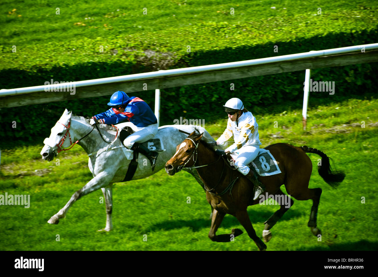 horse race sprint Stock Photo - Alamy