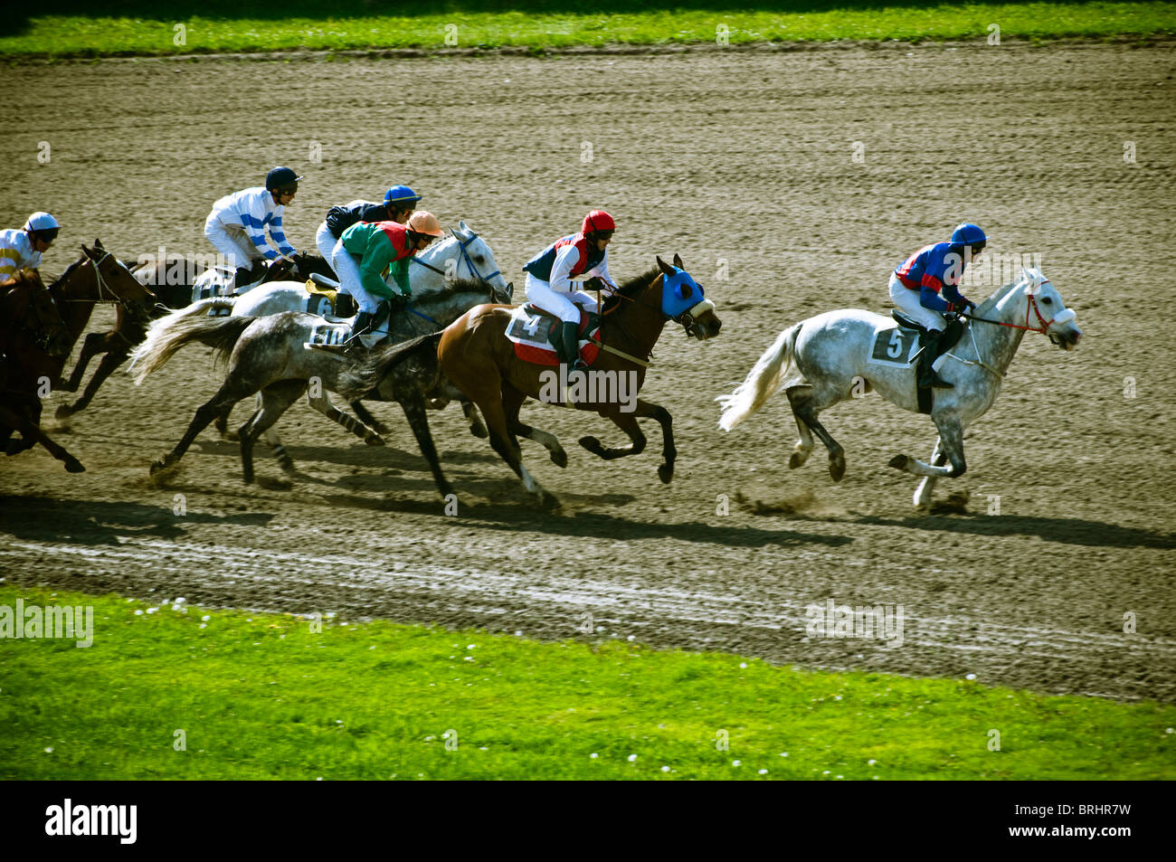 horse race sprint Stock Photo - Alamy