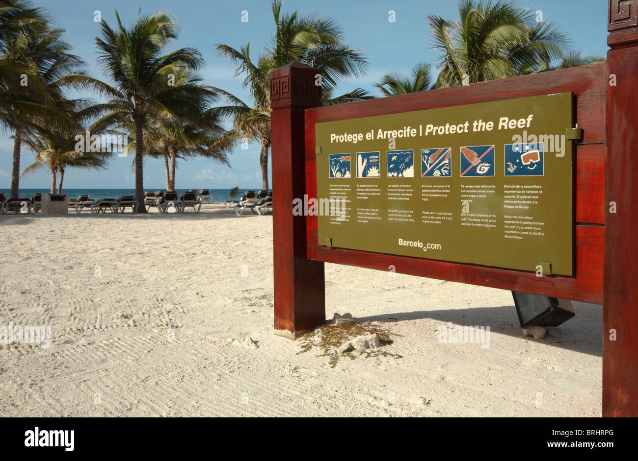 Mesoamerican reef hi-res stock photography and images - Alamy