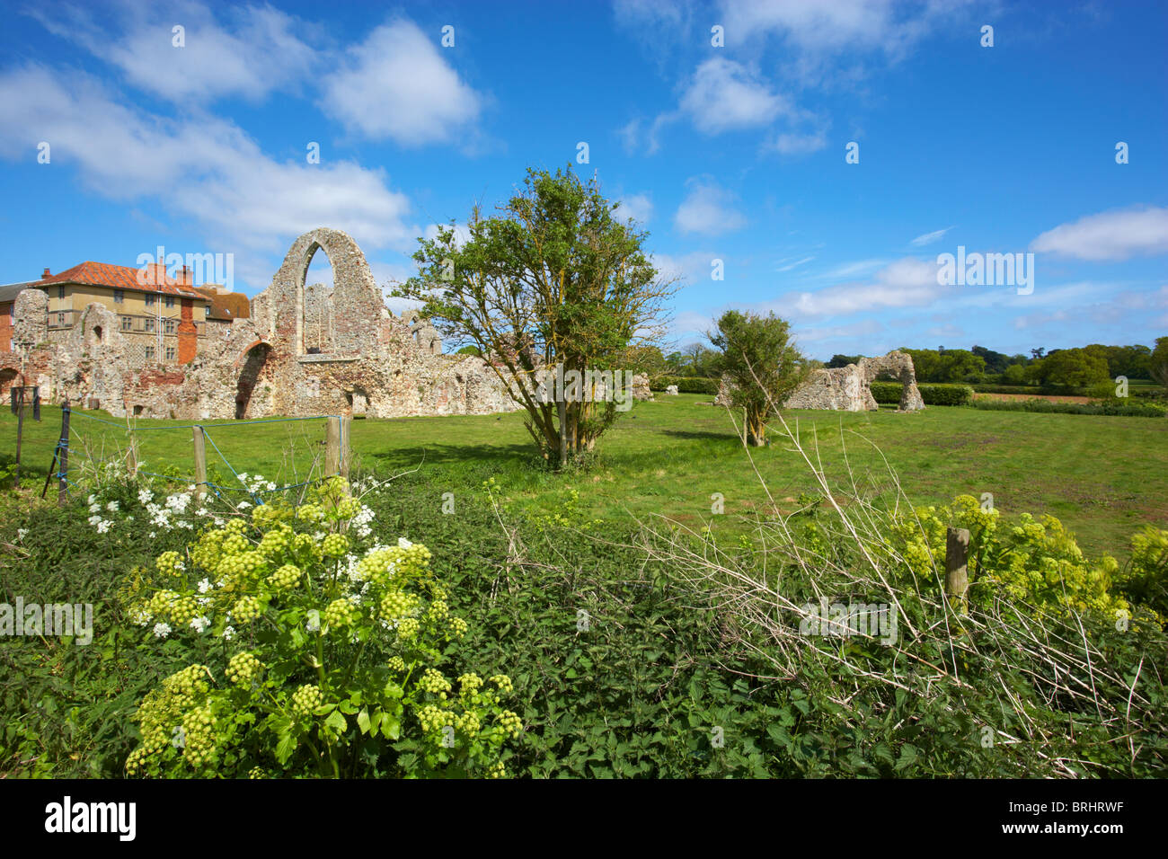 Leiston Abbey in Suffolk Stock Photo - Alamy