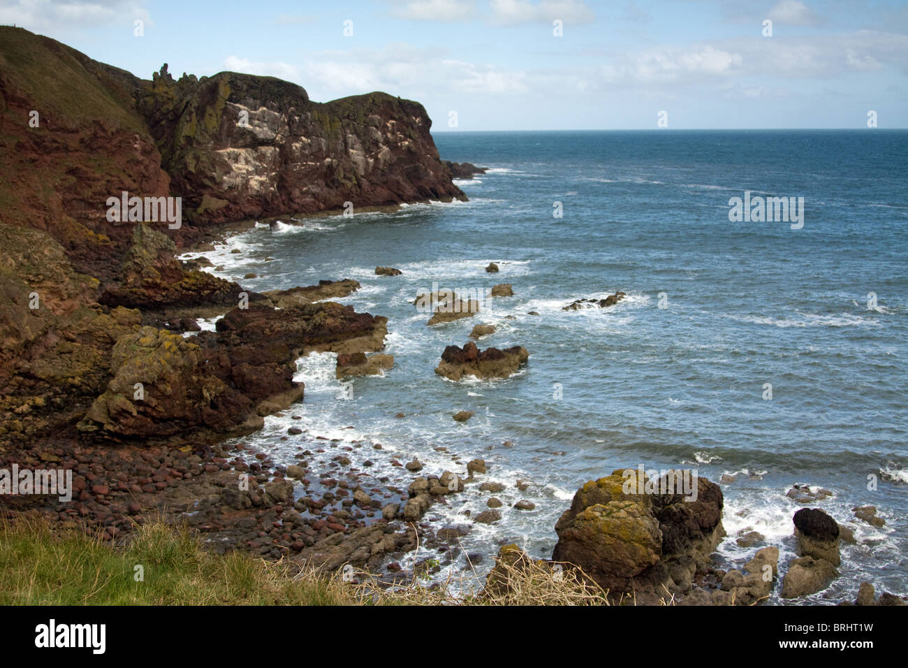 Bay and Cliffs at St Abbs Head, Berwickshire, Scotland Stock Photo - Alamy