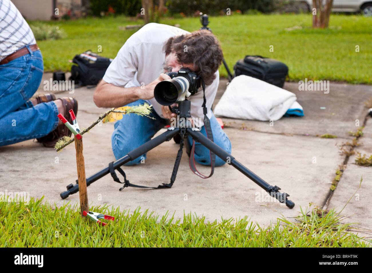 Photographing insects hi-res stock photography and images - Alamy