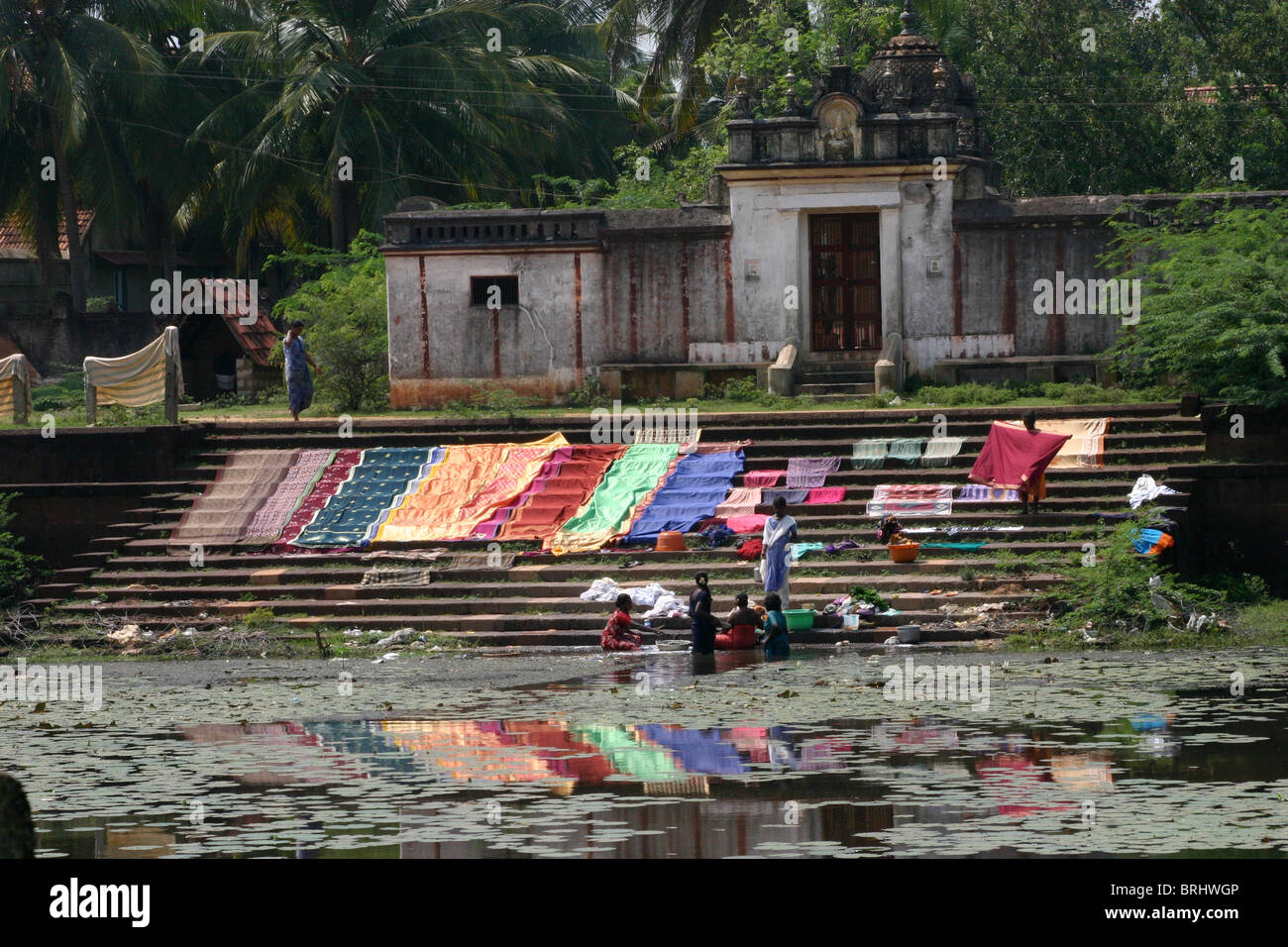 Women washing saris in a temple pond in Chettinad, South India Stock ...
