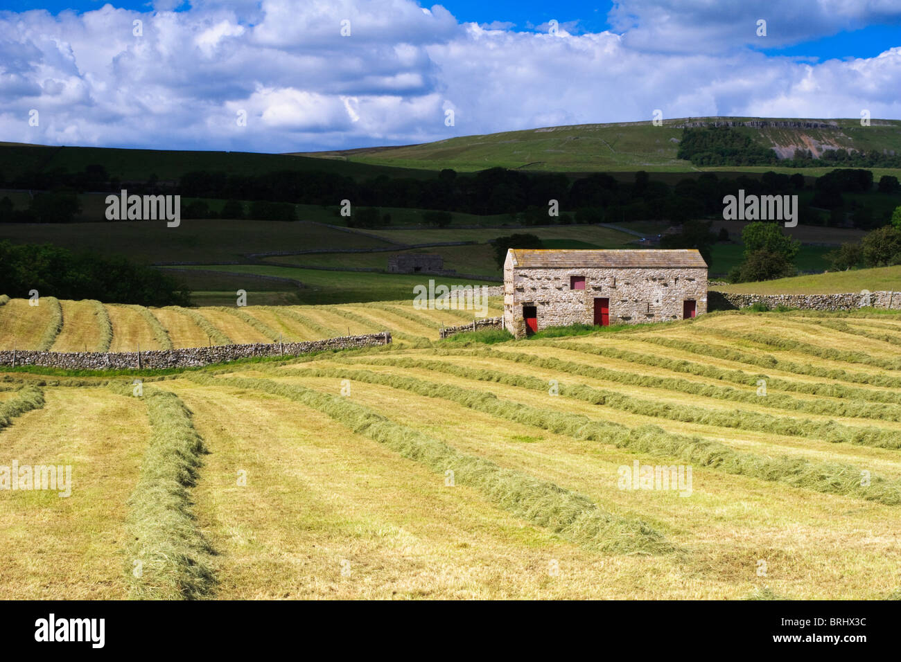 newly mown field in Wensleydale showing single barn with red doors ...