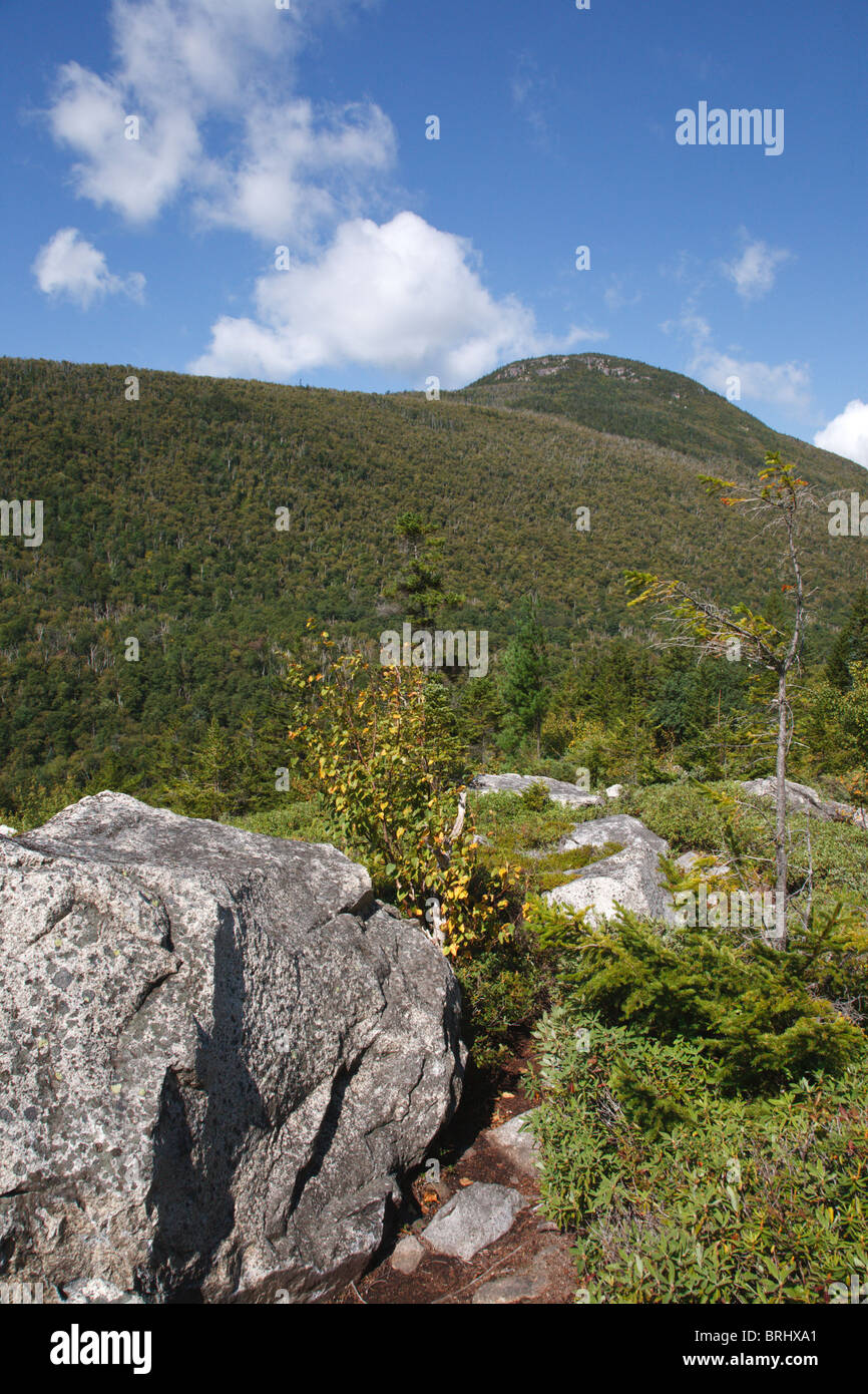 Zealand Notch - Zeacliff Mountain from Zeacliff Trail during the summer ...
