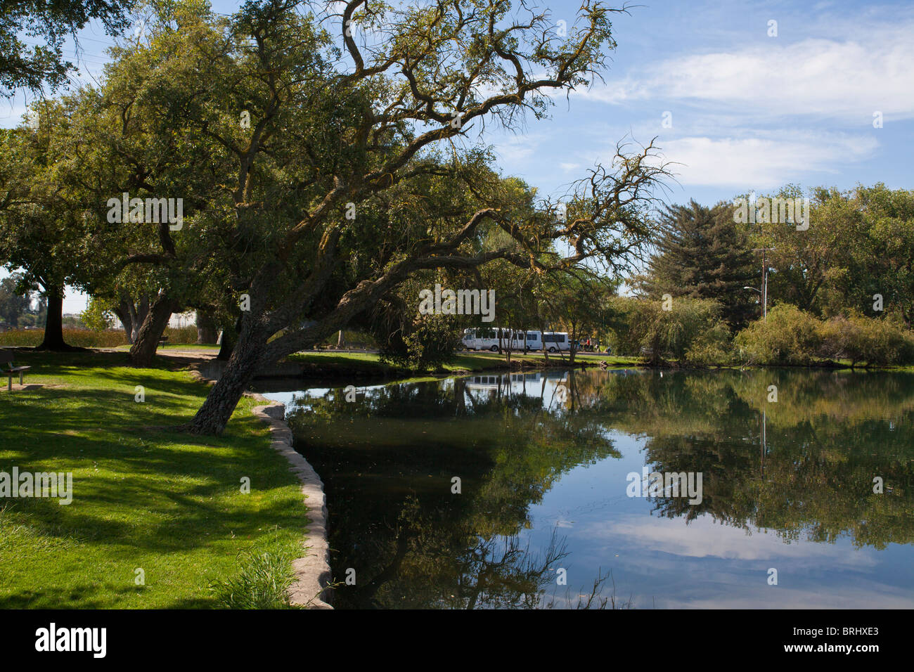 Shoreline of Lodi Lake in Lodi California Stock Photo - Alamy