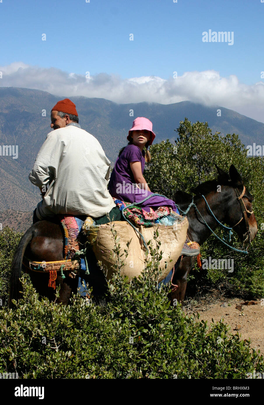 Children trekking on mules in the Atlas Mountains in Morocco Stock ...