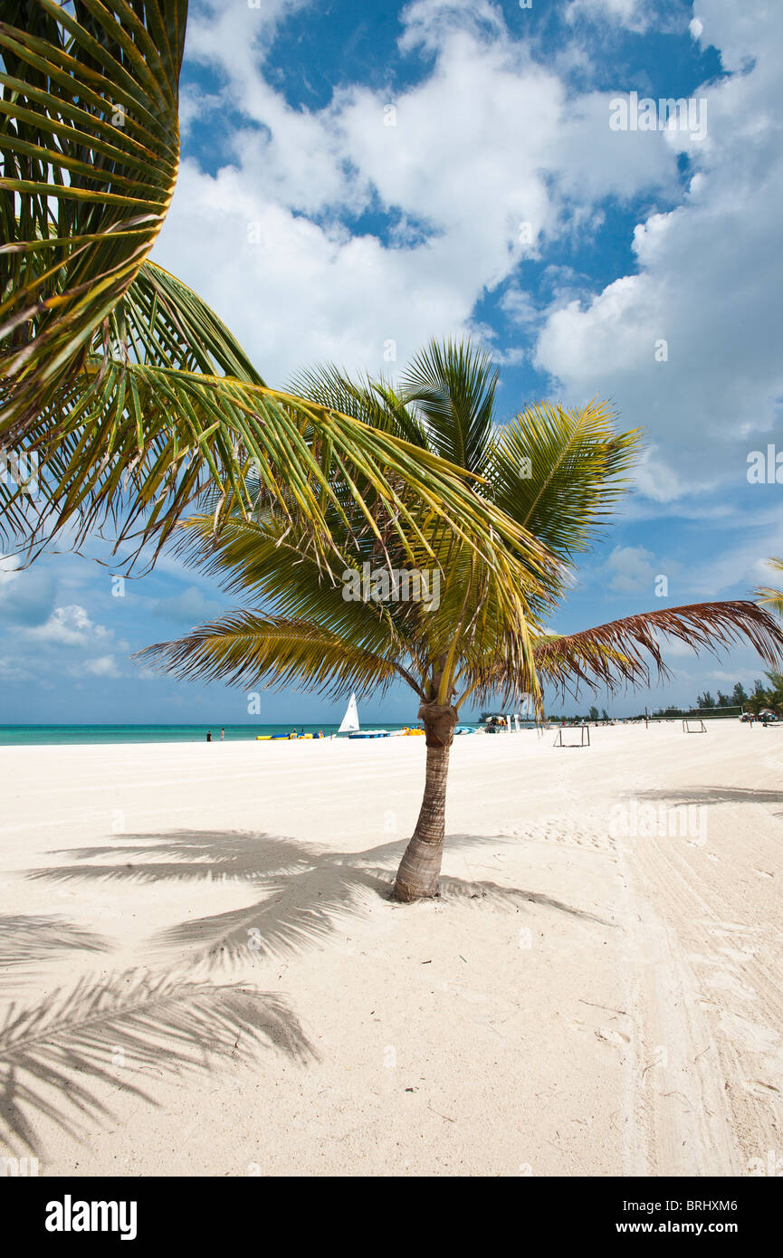 Mexico, Cozumel. Isla Pasion (Passion Island) off Isla de Cozumel ...