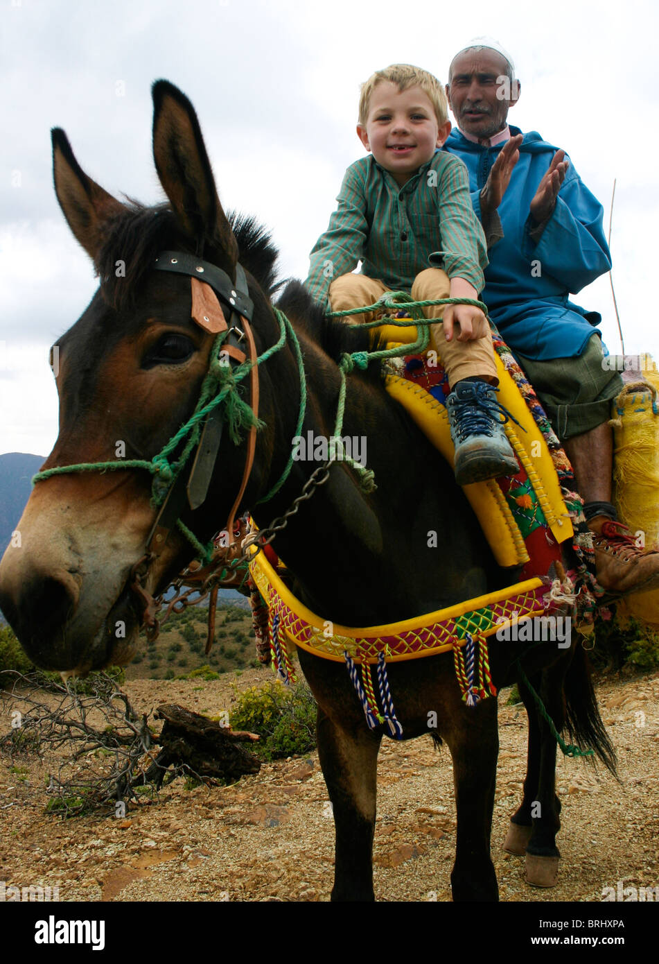 Children trekking on mules in the Atlas Mountains in Morocco Stock ...