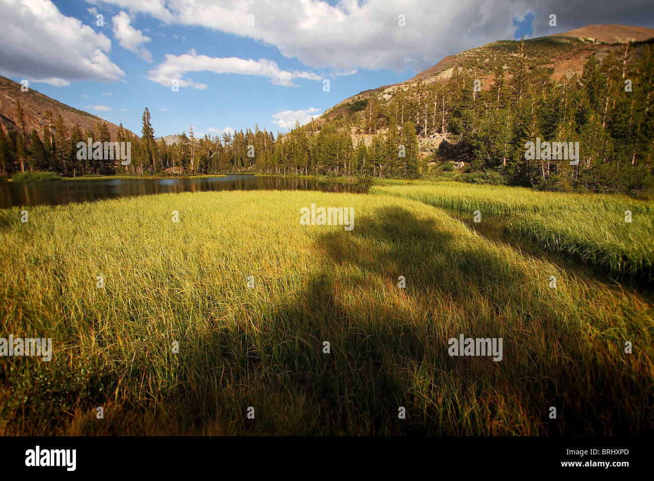 Beautiful mountain lake shoreline with clouds Stock Photo - Alamy
