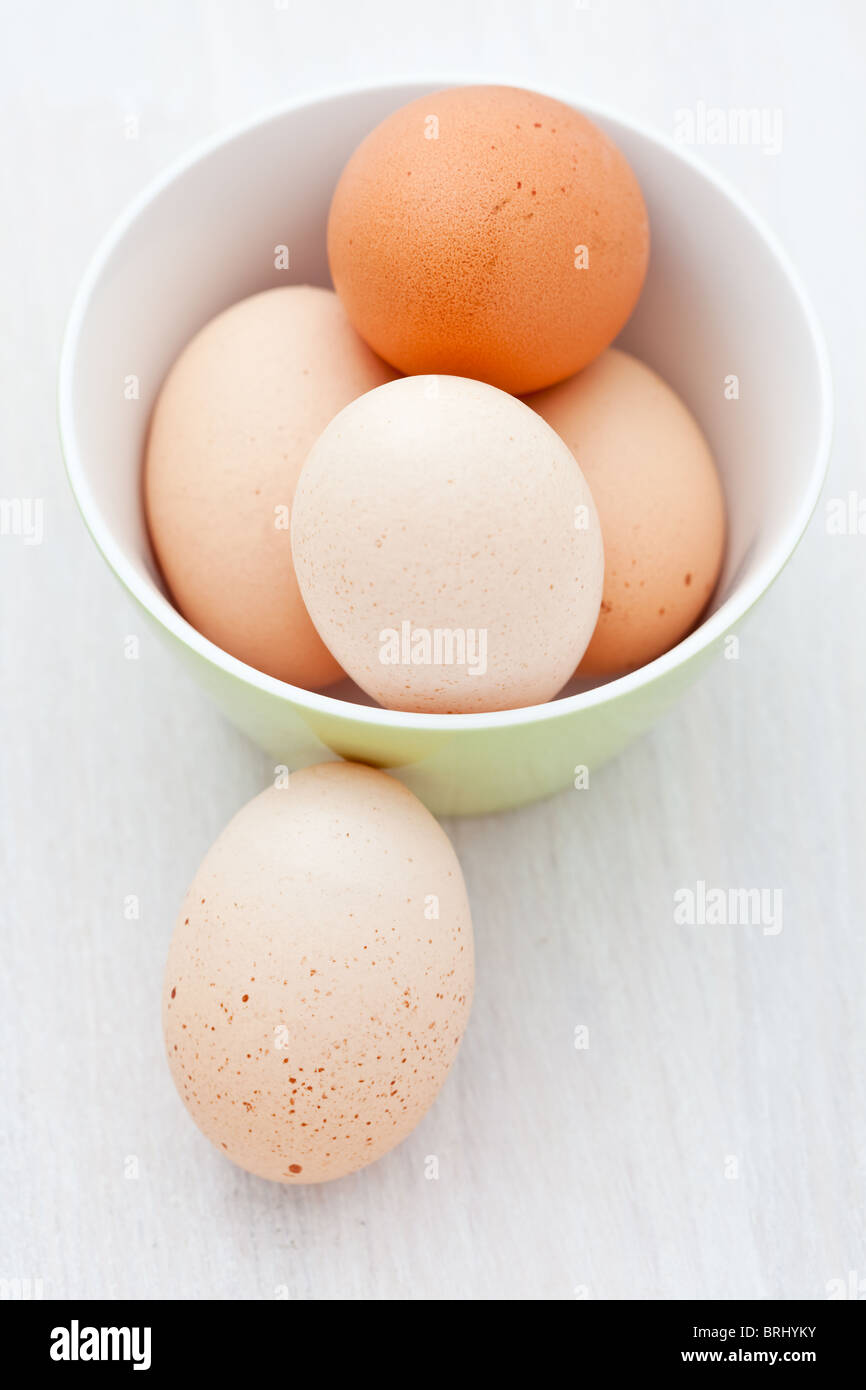 Fresh free range eggs hi-res stock photography and images - Alamy