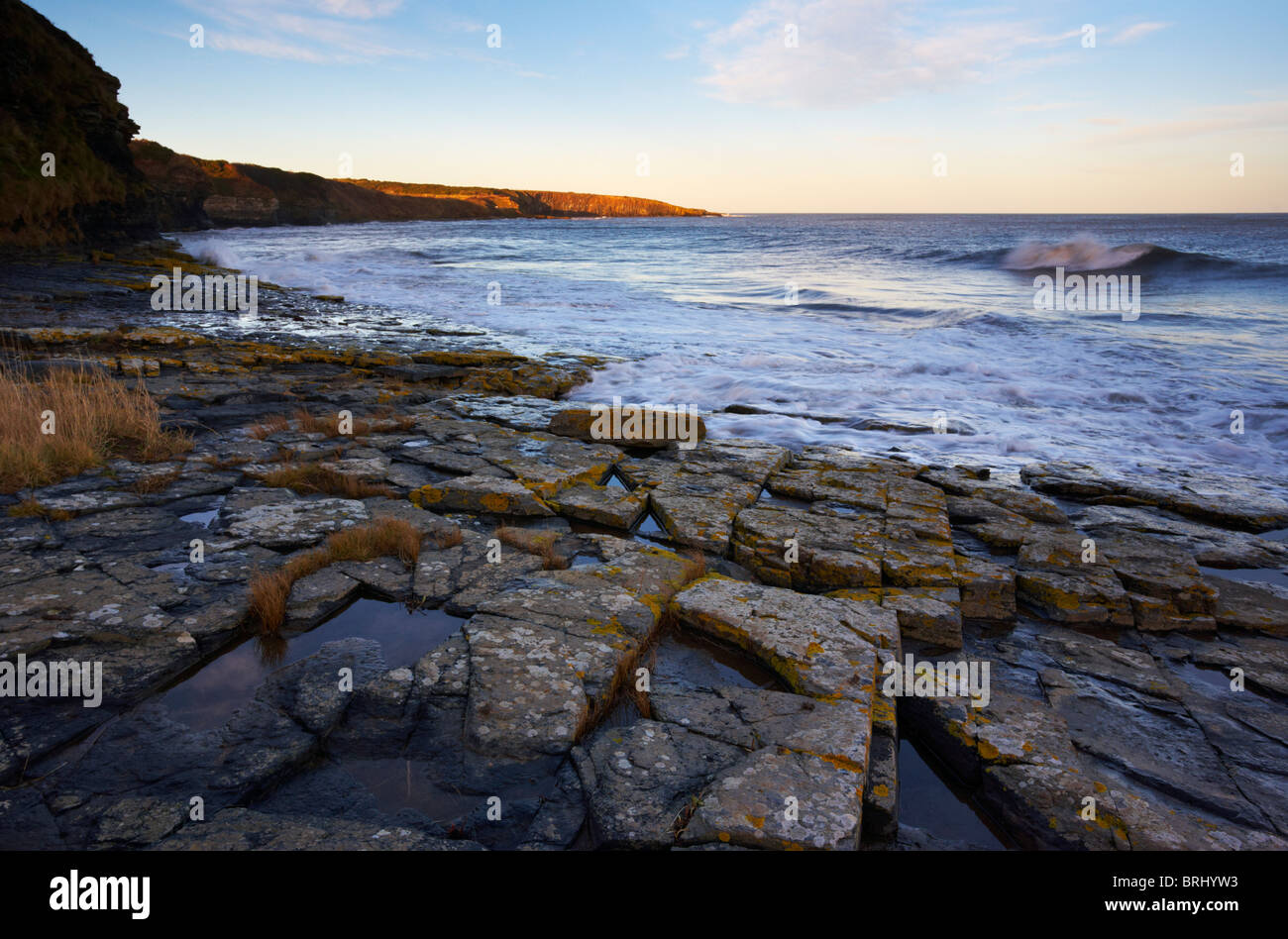Late afternoon in January at Howick Scar on the Northumberland Coast ...