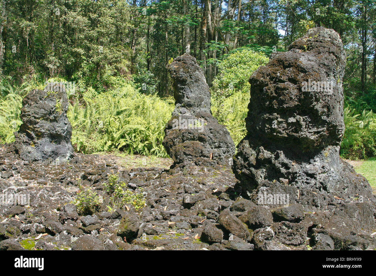 O'hia trees coated in lava. Lava Trees State Monument Stock Photo - Alamy