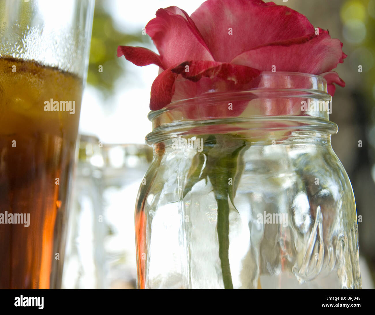 A flower in a glass jar is set next to a pitcher of iced tea on a ...