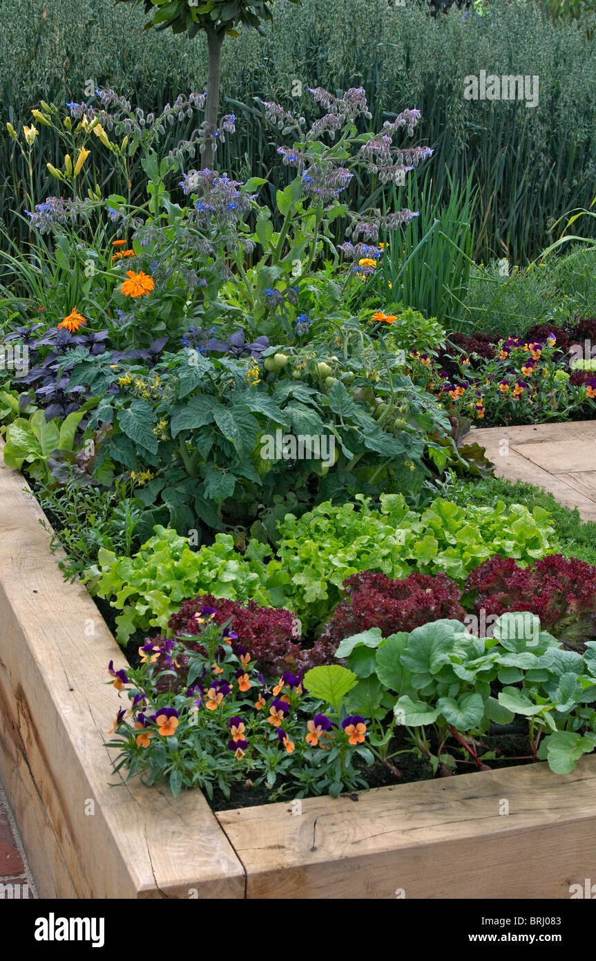 A small urban garden with vegetables grown in raised timber container ...