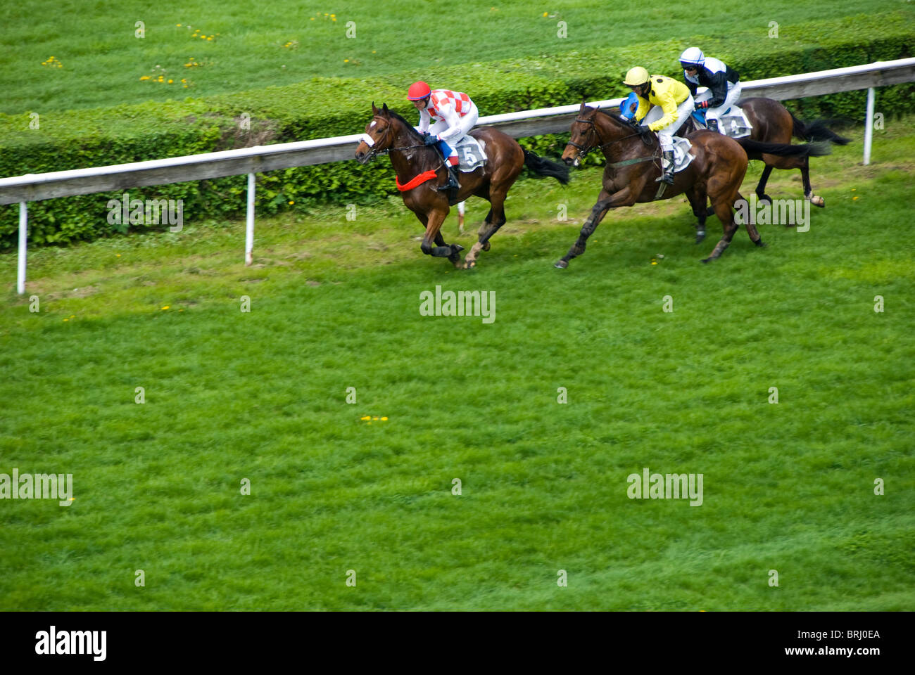 horse race sprint Stock Photo - Alamy