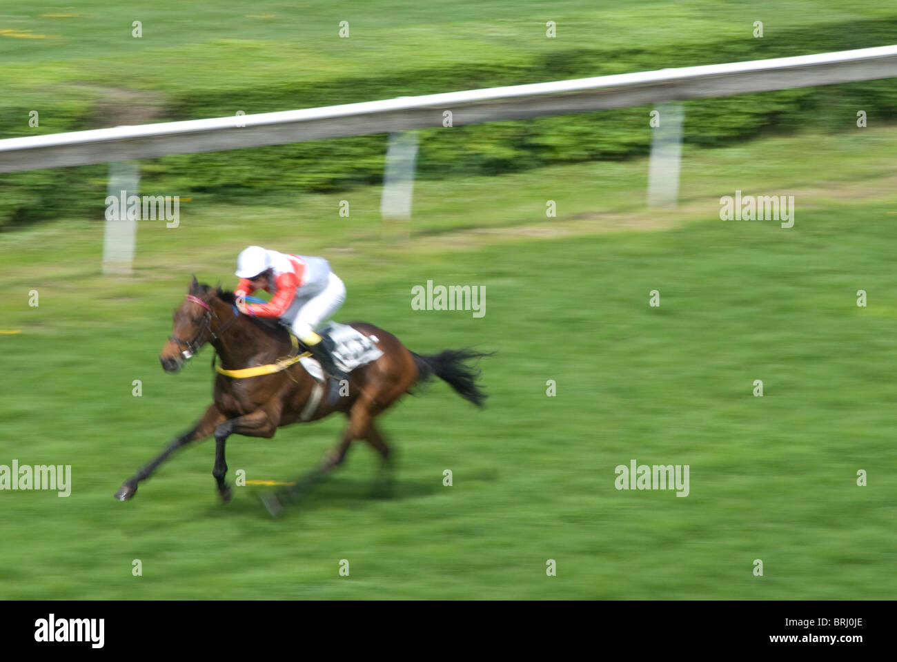 sprint for success in a horse race Stock Photo - Alamy
