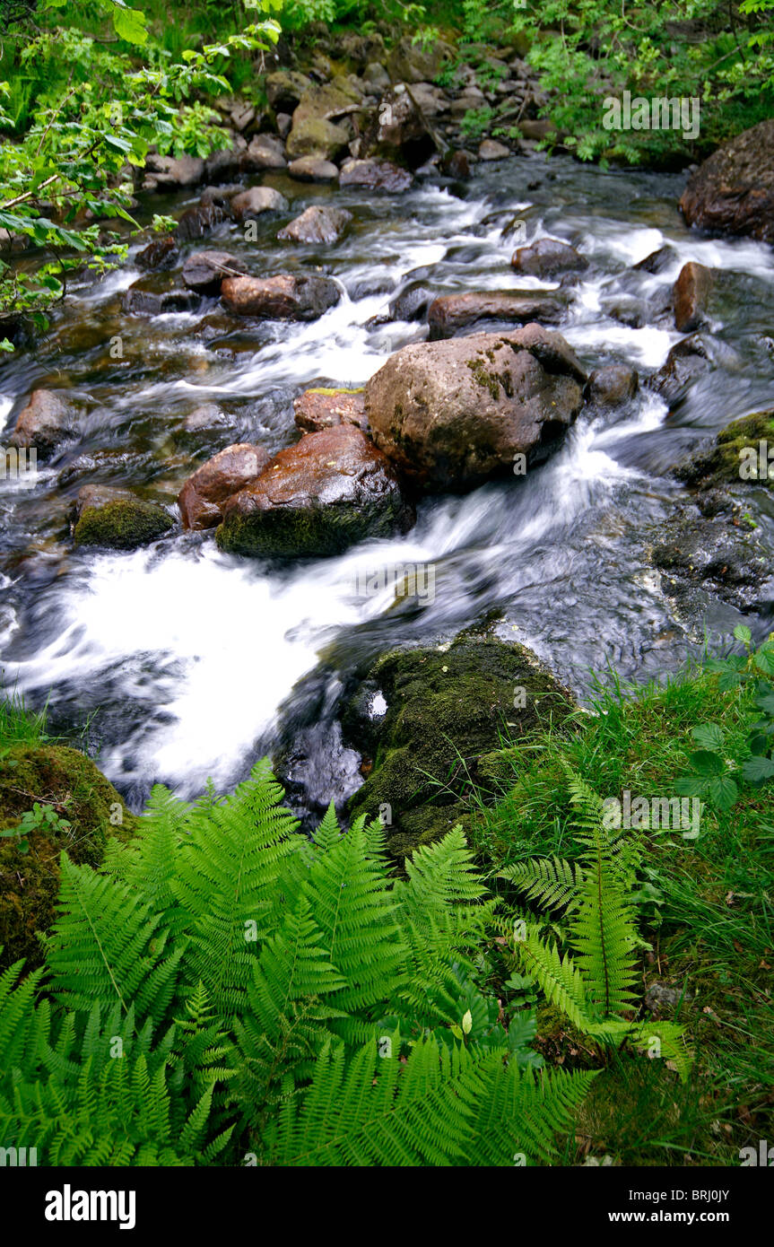 Duddon Stock Photos & Duddon Stock Images - Alamy