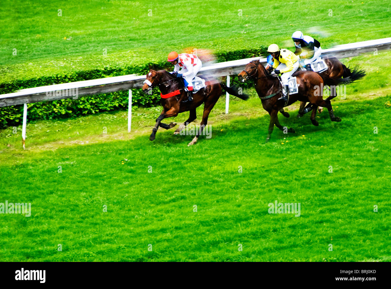 horse race sprint Stock Photo - Alamy