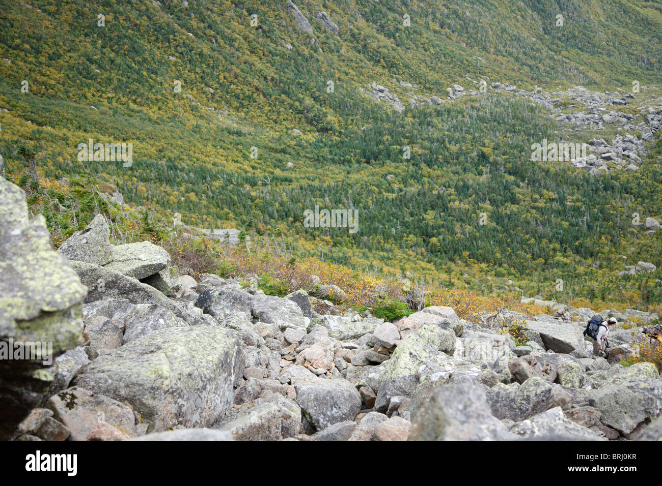 Steep ravine trail hi-res stock photography and images - Alamy