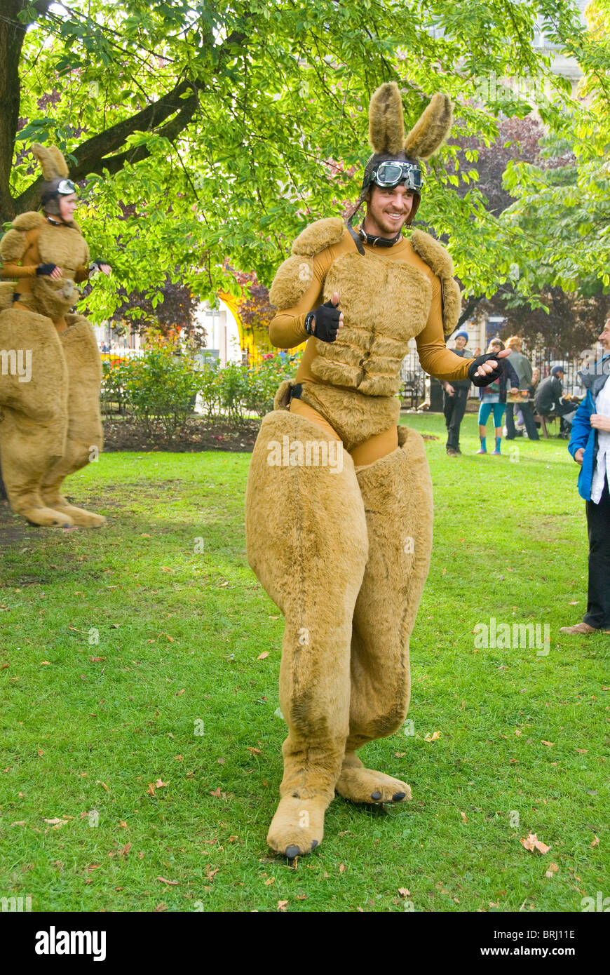 Kangaroo costume hi-res stock photography and images - Alamy