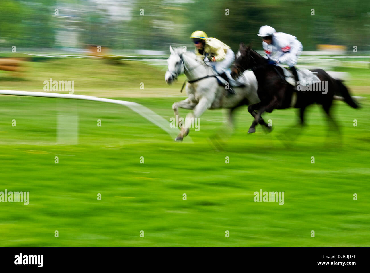 horse race sprint Stock Photo - Alamy