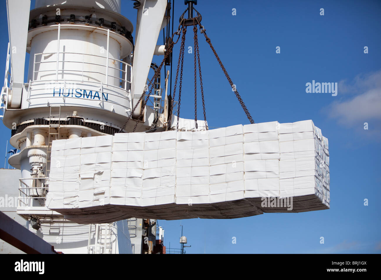 Specialized gantry Cranes on the heavy lift vessel (Happy Ranger ...