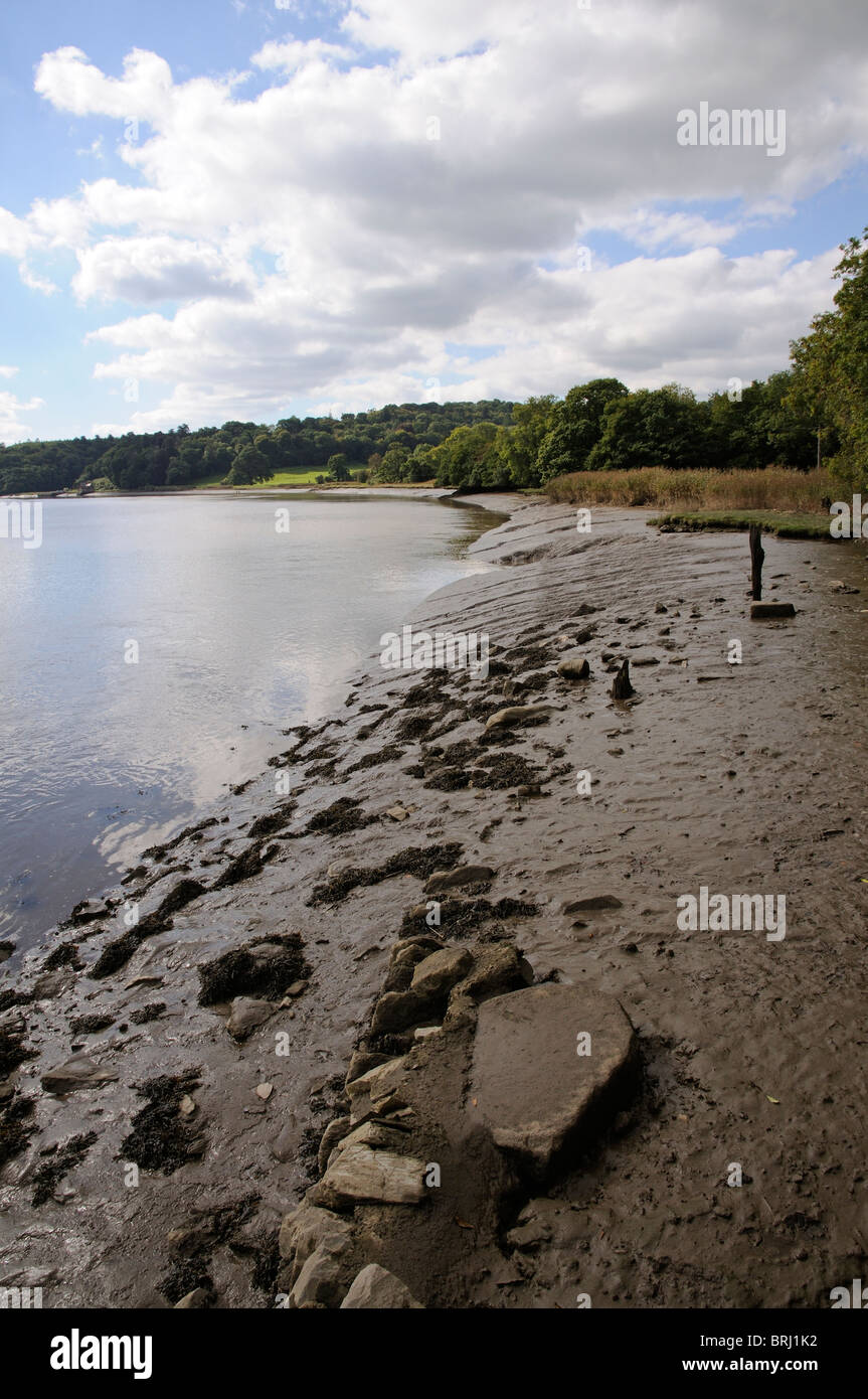 Low tide on the River Tamar which splits Devon & Cornwall south west ...