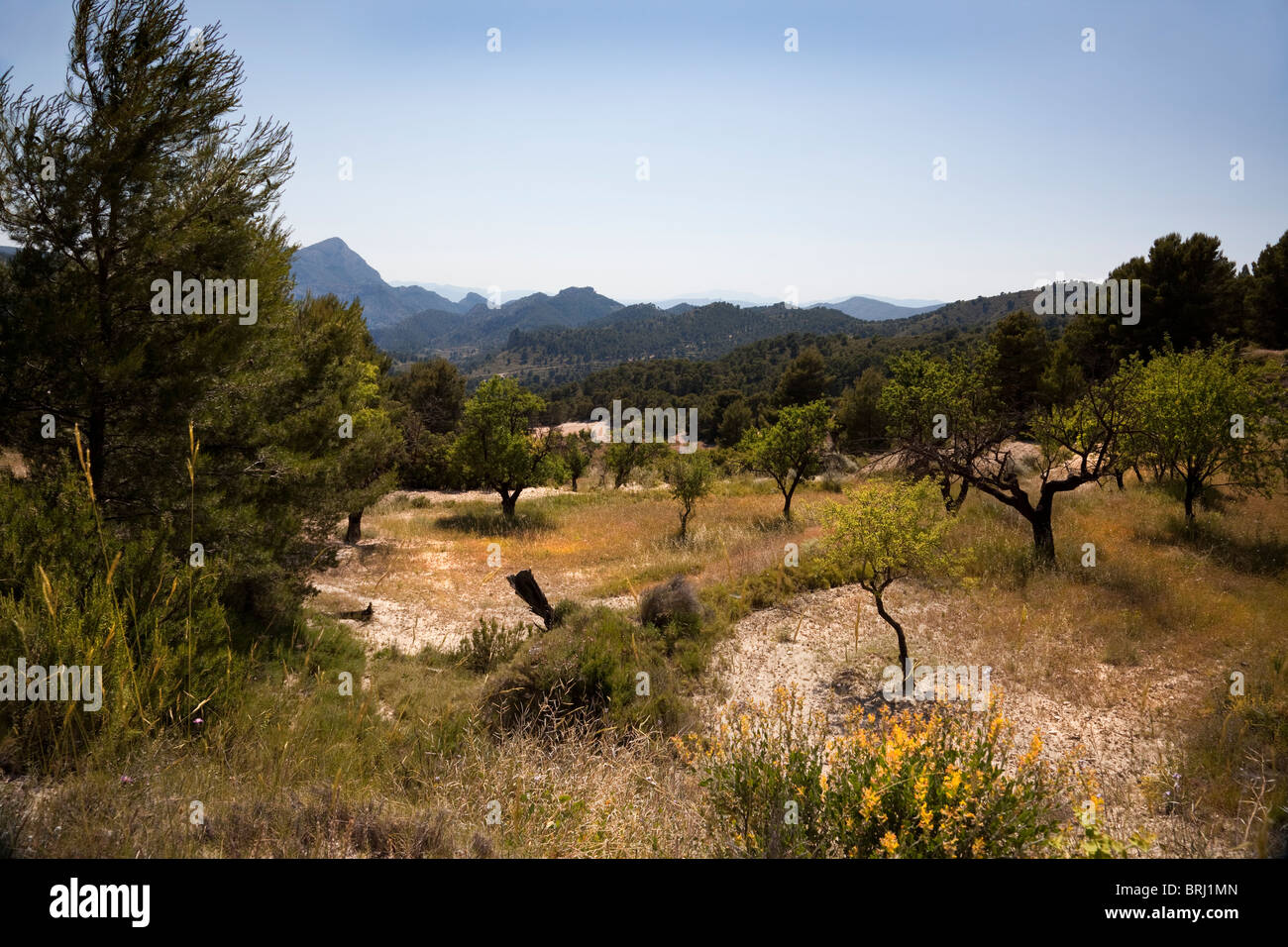 Spanish countryside view with blue sky from Sierra Forada, Costa Blanca ...