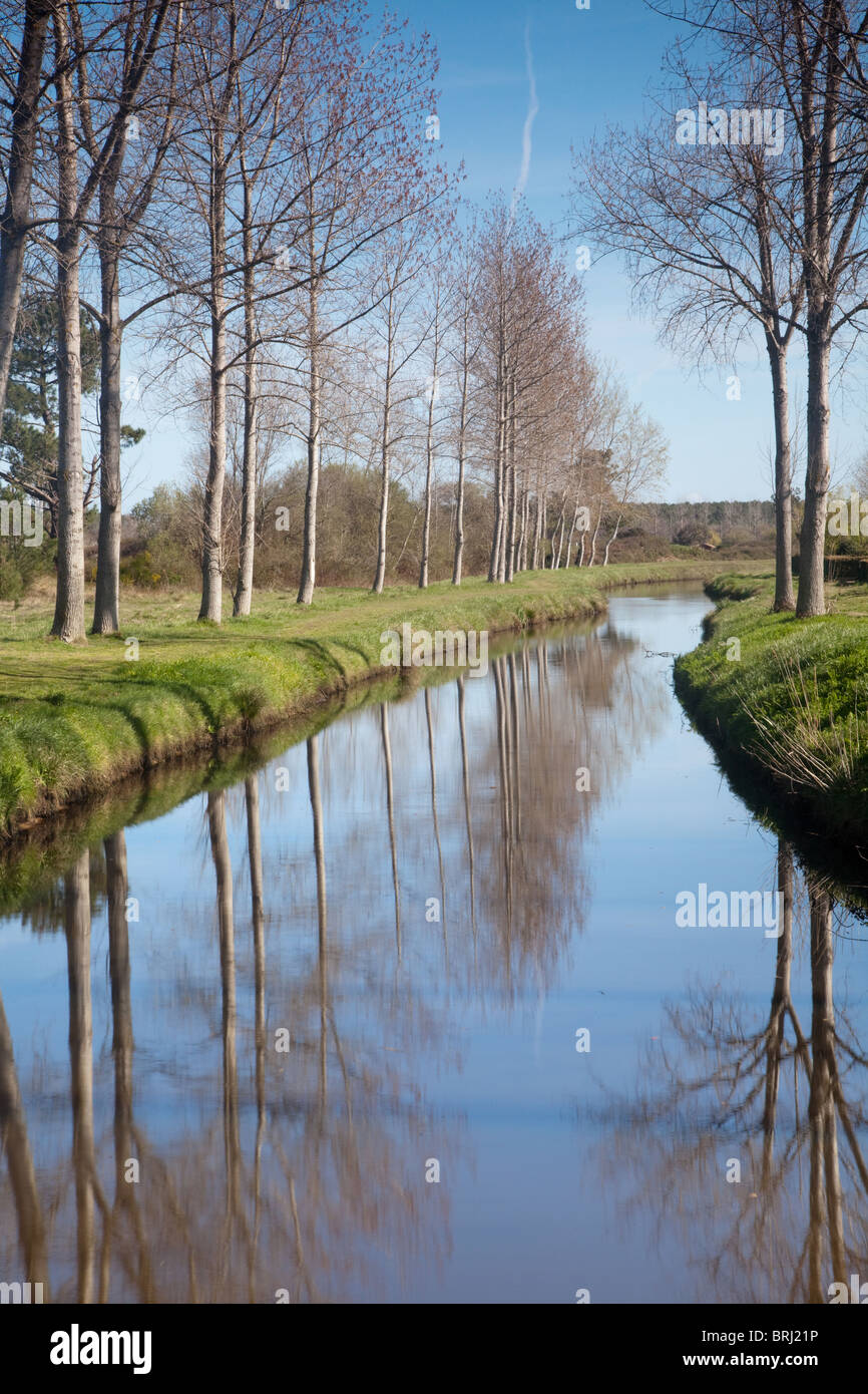 River in Aquitaine Stock Photo - Alamy