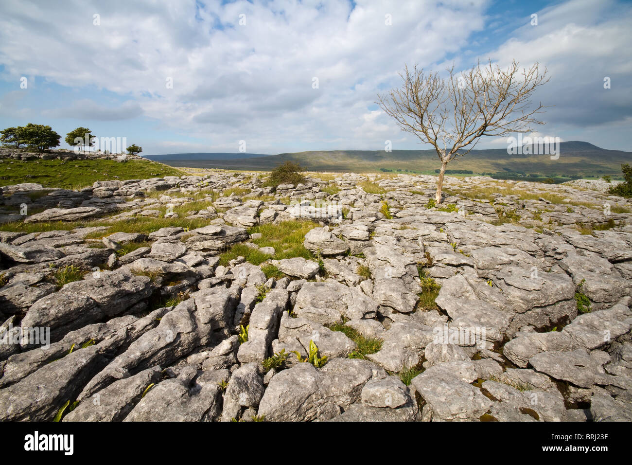 Yorkslimestone hi-res stock photography and images - Alamy
