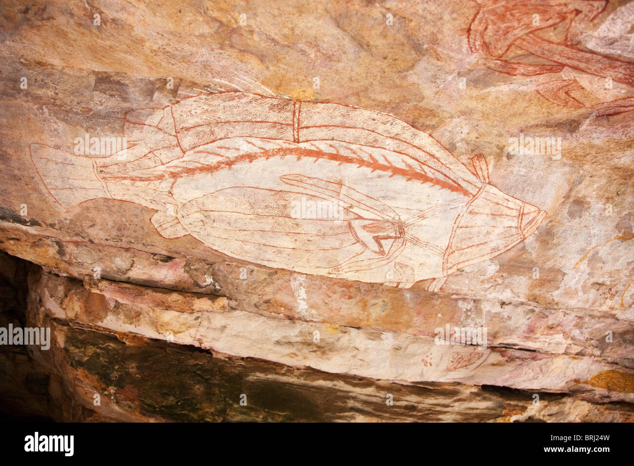 Aboriginal art in cave in Australia Stock Photo - Alamy