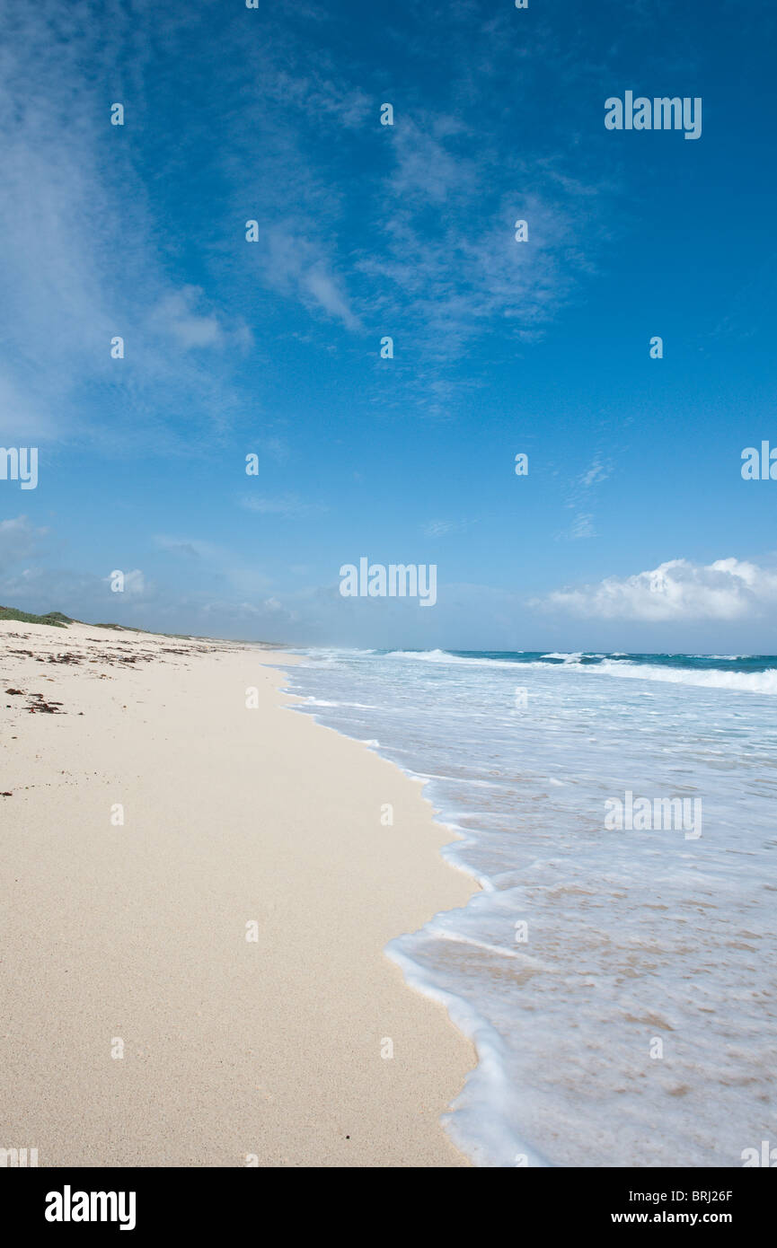 Mexico, Cozumel. Punta Morena beach, Isla de Cozumel (Cozumel Island ...