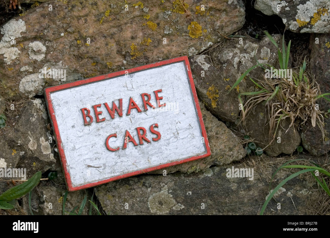 Sign warning pedestrians of passing cars at the Lizard Point Cornwall ...
