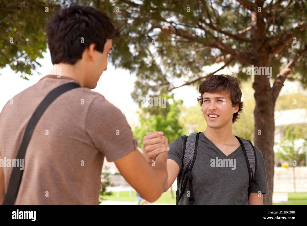 Happy young student giving a handshake to his classmate (selective ...