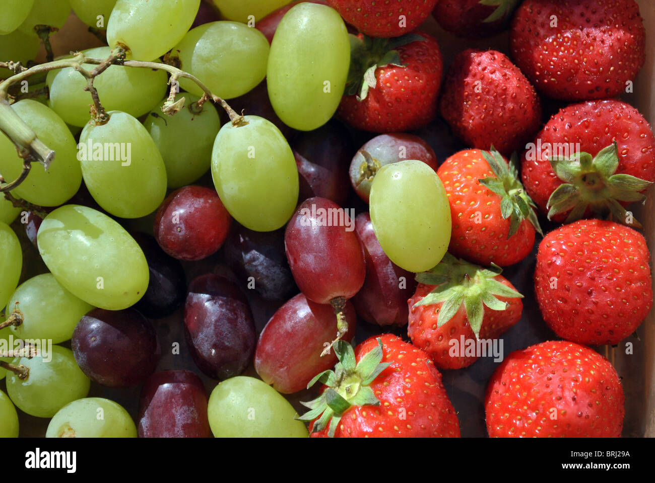 Grape pips hi-res stock photography and images - Alamy