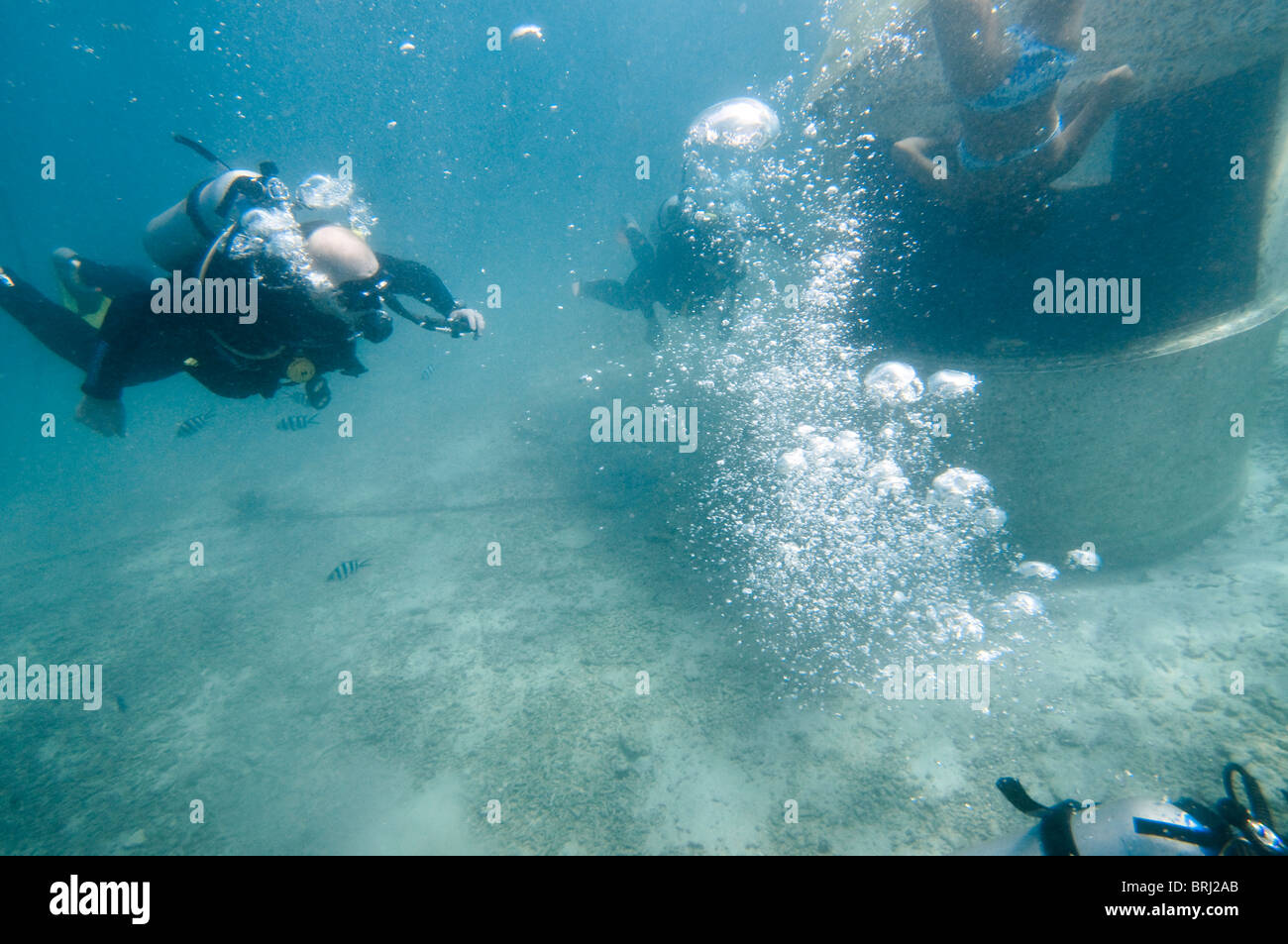 Scuba Divers swimming passed the worlds only Underwater post office ...