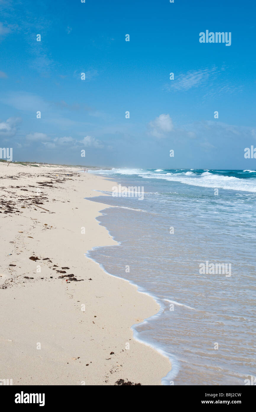 Mexico, Cozumel. Punta Morena beach, Isla de Cozumel (Cozumel Island ...