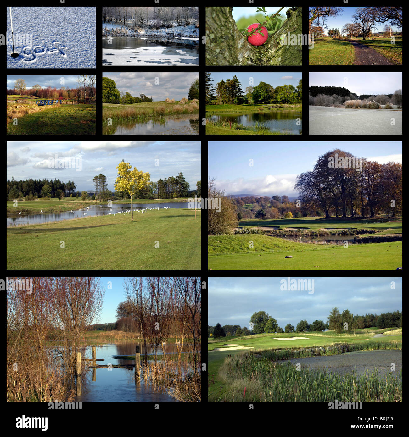 Seasons collage hi-res stock photography and images - Alamy